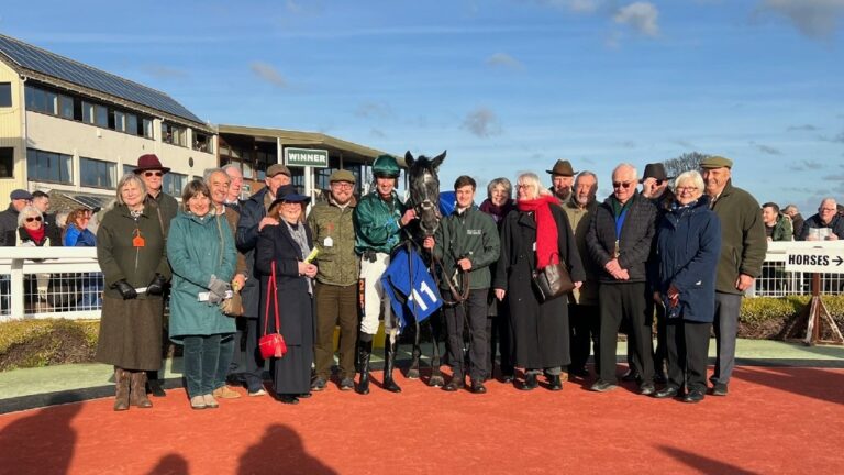 Racehorse profile: Wertpol